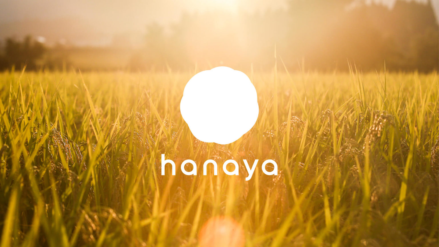 hanaya.